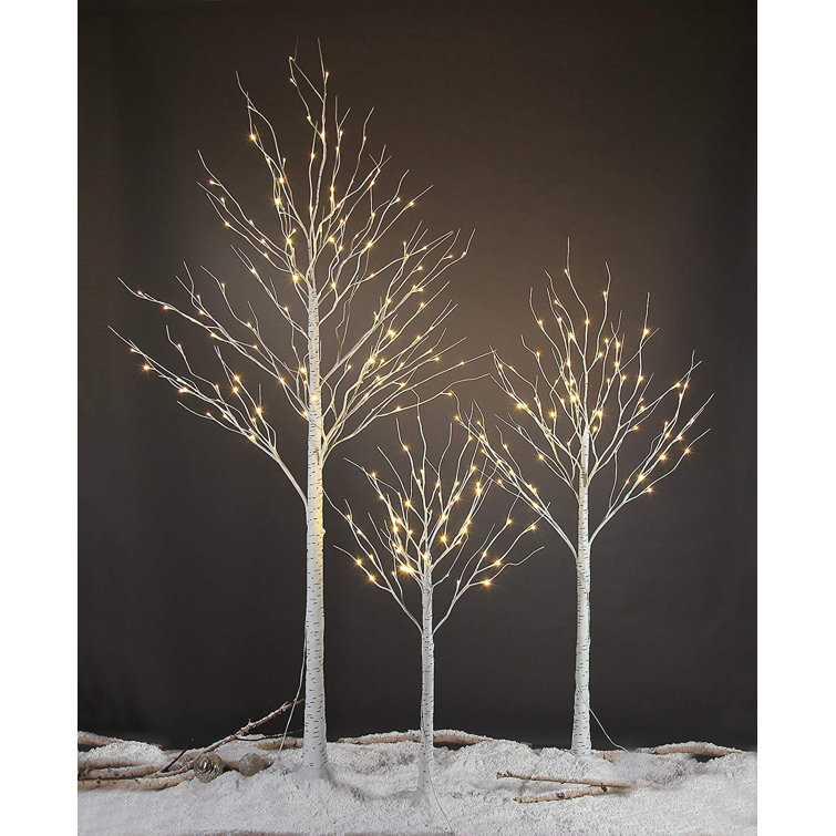 Lighted tree store